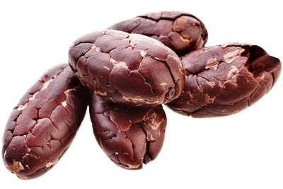 How to roast cocoa beans | Chocolate Phayanak