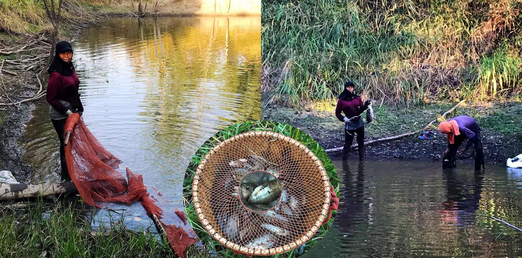 Exploring a Thai Isaan Dairy Farm | Chocolate Phayanak