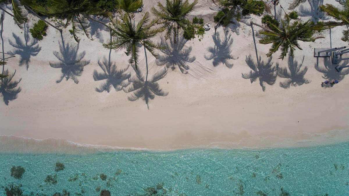 Reethi Faru - Sea Explorer Dive Center