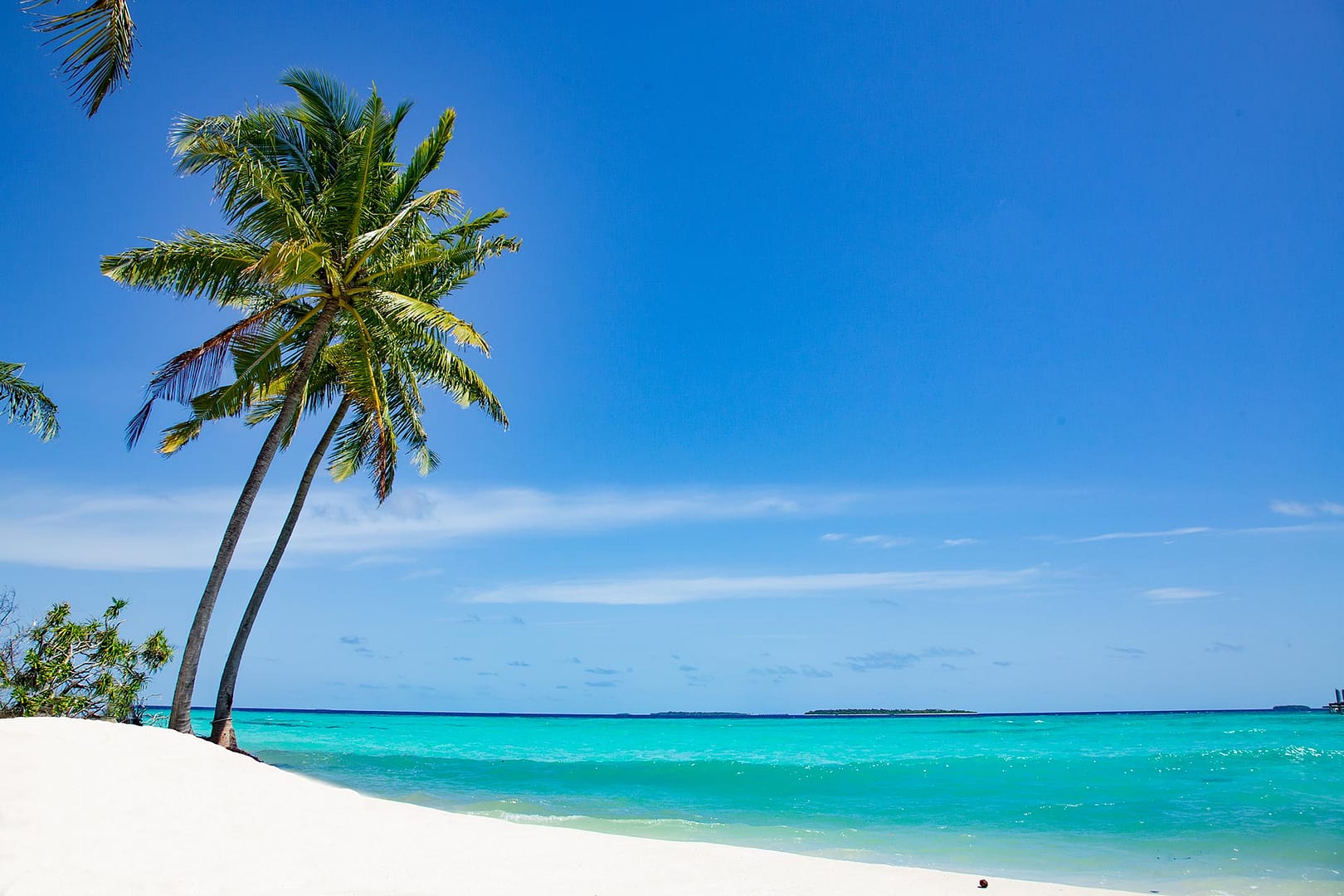 Reethi Faru - Sea Explorer Dive Center
