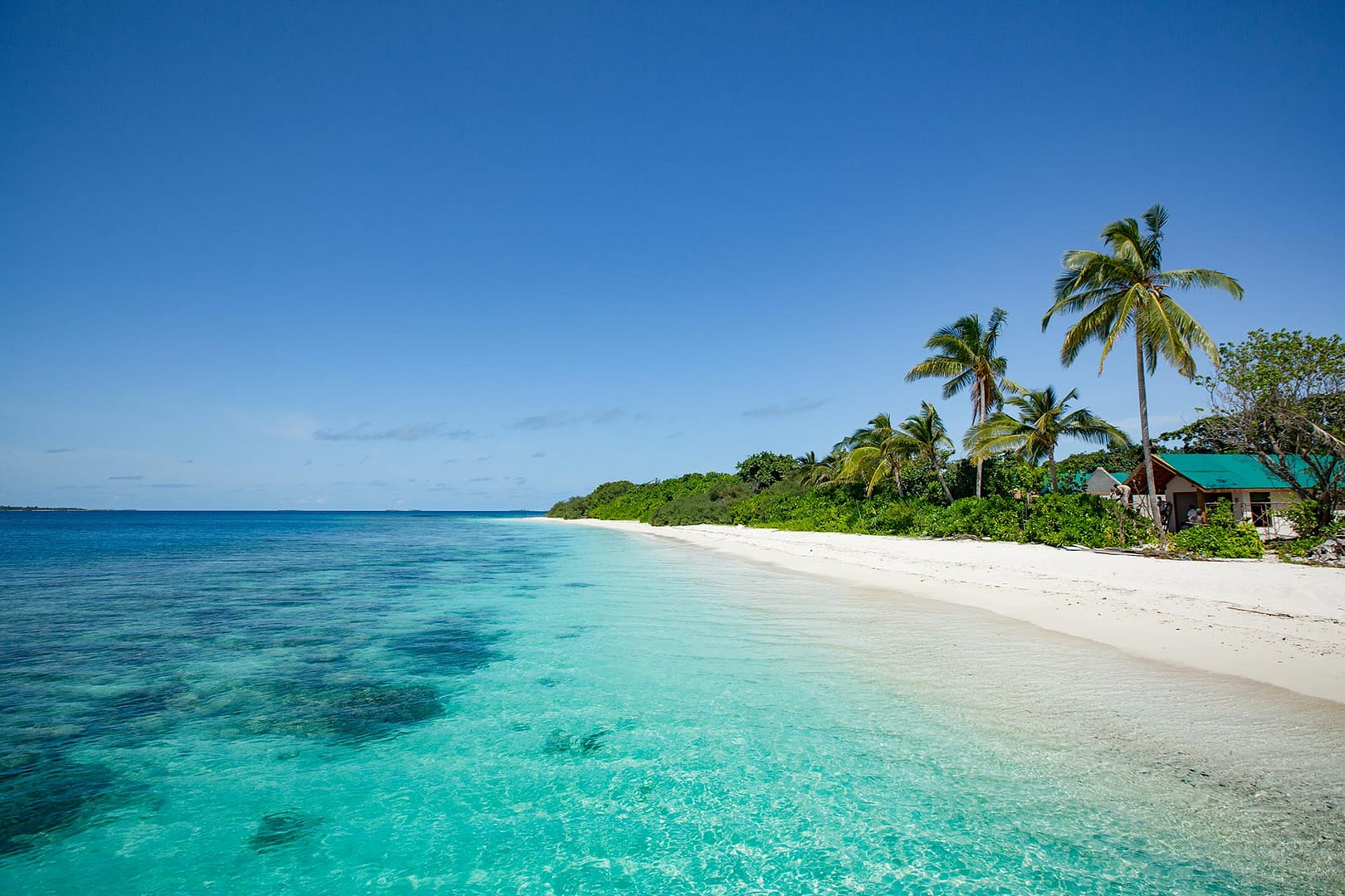 Reethi Faru - Sea Explorer Dive Center