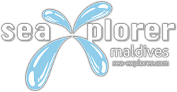 Sea Explorer Dive Center Maldives | Diving & Snorkeling