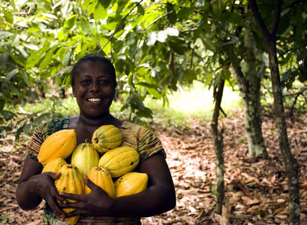 Cocoa Production | Where is cocoa grown around the world?