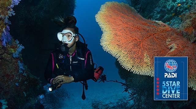 Sea Explorer Dive Center Maldives | Diving & Snorkeling