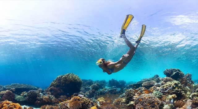 Snorkeling in the Maldives | Sea Explorer Maldives